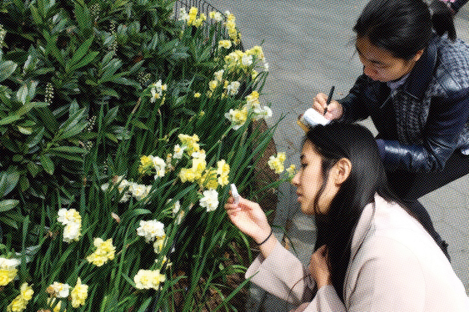 A conversation with Schmidt Futures’ Tom Kalil - Tool Foundry